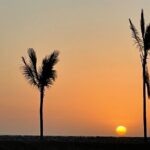 Port City Beach Safari - Who Should Consider This Tour?