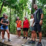 Port Douglas: Best of Daintree Rainforest Day Tour - Daintree River Wildlife Cruise