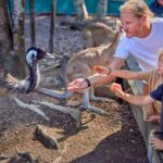 Port Douglas: Breakfast with the Birds - Family-Friendly, Relaxed, and Well-Organized