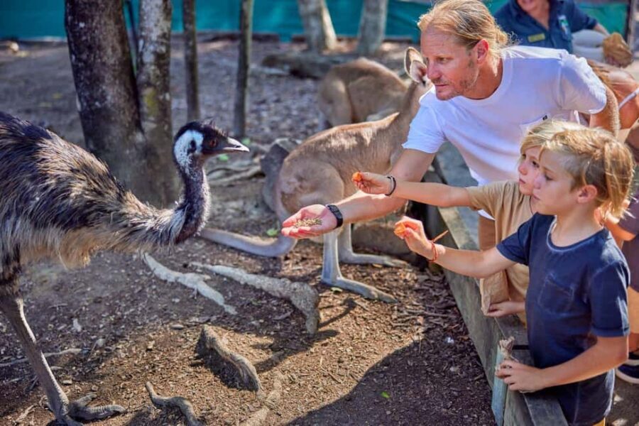 Port Douglas: Breakfast with the Birds - Family-Friendly, Relaxed, and Well-Organized