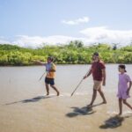 Port Douglas: Daintree Cultural Tour with Hotel Pickup - When You Arrive at the Coastal Environment