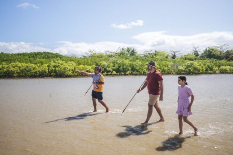 Port Douglas: Daintree Cultural Tour with Hotel Pickup - When You Arrive at the Coastal Environment