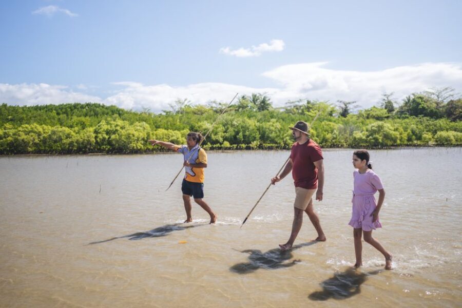 Port Douglas: Daintree Cultural Tour with Hotel Pickup - When You Arrive at the Coastal Environment