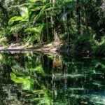 Port Douglas Daintree National Park Boutique Full-Day Tour - The Experience – What You’ll Gain (and What You Might Miss)