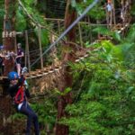 Port Douglas: Daintree National Park Tour, Cruise, & Zipline - How the Tour Balances Value and Experience
