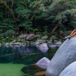 Port Douglas: Daintree Rainforest and Cape Tribulation Tour - What Makes This Tour Stand Out