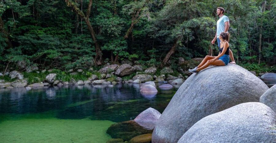 Port Douglas: Daintree Rainforest and Cape Tribulation Tour - What Makes This Tour Stand Out
