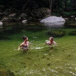 Port Douglas & Daintree Tour for Cruise Ship Passenger - The Nuts and Bolts: What You Need to Know