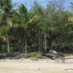 Port Douglas Day Tour from Cairns - Who Might This Tour Suit Best?