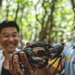 Port Douglas: Full Day Daintree Cultural Tour with Lunch - The Food and Cultural Connection