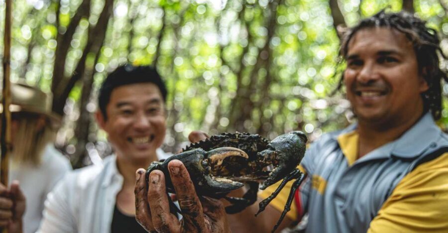 Port Douglas: Full Day Daintree Cultural Tour with Lunch - The Food and Cultural Connection