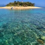 Port Douglas: Half-Day Low Island and Lagoon Snorkeling Tour - Price, Value, and Practical Considerations