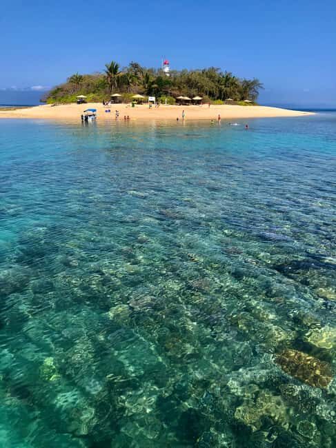 Port Douglas: Half-Day Low Island and Lagoon Snorkeling Tour - Price, Value, and Practical Considerations