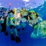 Port Douglas: Just 12 Passengers Guided Snorkel Reef Cruise - What the Day Looks Like