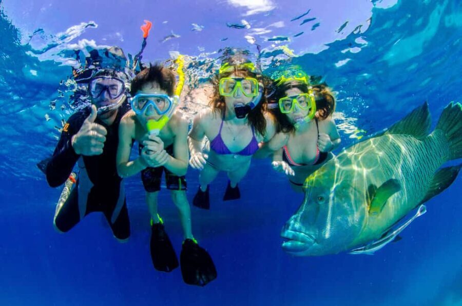 Port Douglas: Just 12 Passengers Guided Snorkel Reef Cruise - What the Day Looks Like