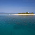 Port Douglas: Low Isles Glass Bottom Boat & Snorkeling Tour - What Makes Low Isles Special?