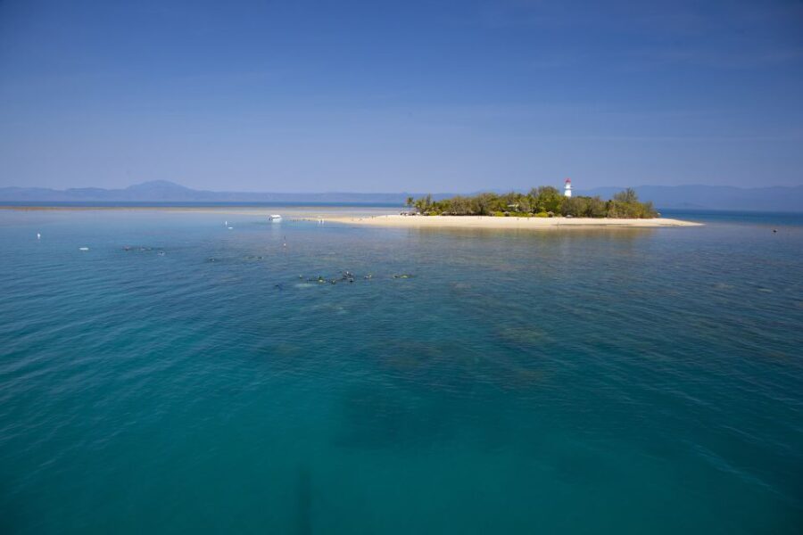 Port Douglas: Low Isles Glass Bottom Boat & Snorkeling Tour - What Makes Low Isles Special?