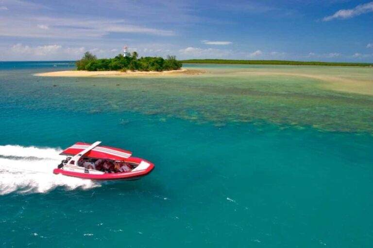 Port Douglas: Low Isles Reef Snorkeling Tour