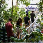 Port Douglas: Morning Daintree Tour w/ Wildlife Cruise - Wildlife and Nature: What You’ll See