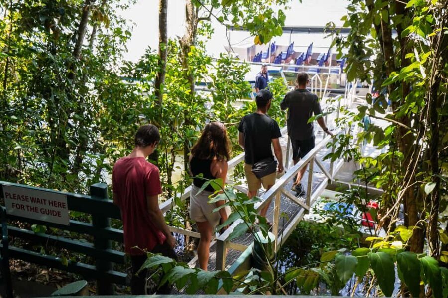 Port Douglas: Morning Daintree Tour w/ Wildlife Cruise - Wildlife and Nature: What You’ll See