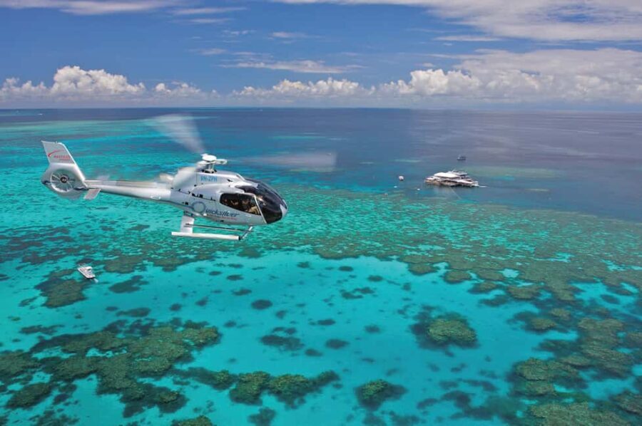 Port Douglas: Outer Barrier Reef Cruise & 10 Min Helicopter - Key Points
