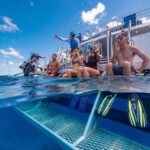 Port Douglas: Outer Barrier Reef Snorkel and Dive Options - What the Itinerary Looks Like