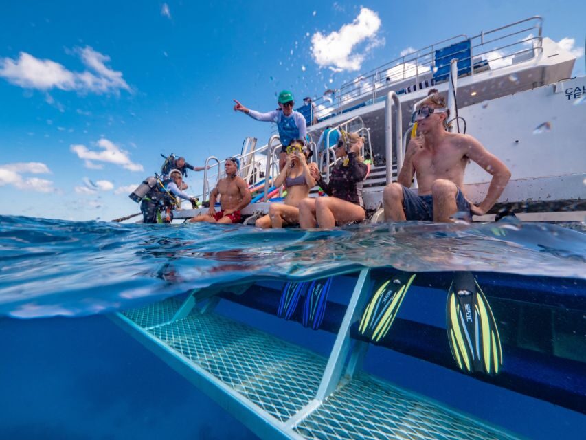 Port Douglas: Outer Barrier Reef Snorkel and Dive Options - What the Itinerary Looks Like