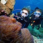 Port Douglas: Poseidon Outer Barrier Reef Dive and Snorkel - The Itinerary: What to Expect on the Reef