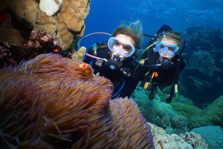 Port Douglas: Poseidon Outer Barrier Reef Dive and Snorkel - The Itinerary: What to Expect on the Reef
