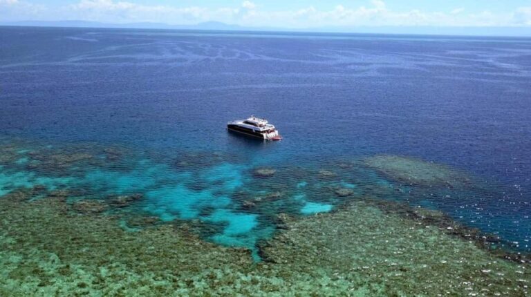 Port Douglas: Premium Outer Reef Dive Trip - Why This Trip Stands Out