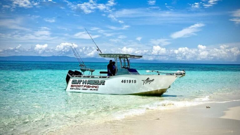 Port Douglas: Reef & Estuary Sportfishing Charters - Why This Tour Stands Out
