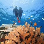 Port Douglas: Silversonic Great Barrier Reef Dive & Snorkel - Exploring the Itinerary