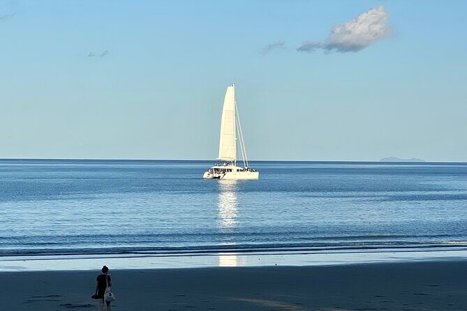 Port Douglas To Cairns Airport Shared Shuttle - A Complete Look at the Experience