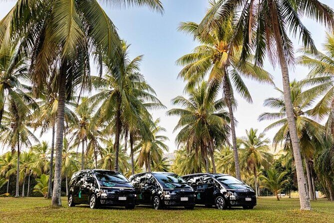 Port Douglas to/from Cairns RETURN TRIP Private Transfer 6 pax - Who Would Benefit Most from This Service?