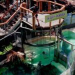 Port Douglas: Wildlife Habitat Swim with Crocodiles - What to Expect During Your Swim
