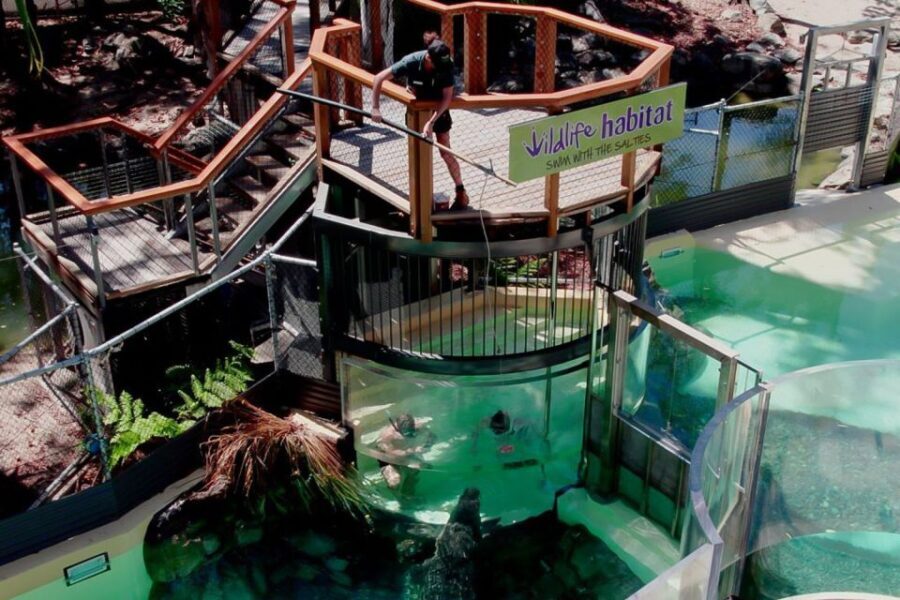 Port Douglas: Wildlife Habitat Swim with Crocodiles - What to Expect During Your Swim