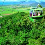 Port Douglas: World Heritage Forest by Skyrail & Scenic Rail - What’s Included and What’s Not