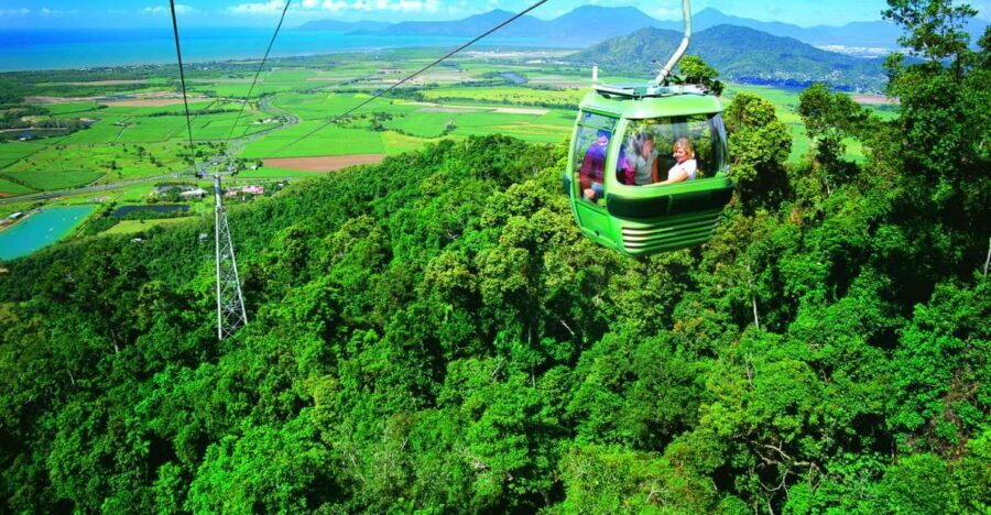 Port Douglas: World Heritage Forest by Skyrail & Scenic Rail - What’s Included and What’s Not