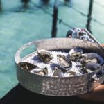 Port Lincoln: Coffin Bay Seafood, Wine, and Nature Day Trip - Overall Value and Experience