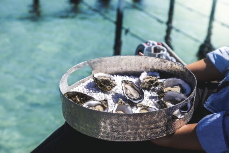 Port Lincoln: Coffin Bay Seafood, Wine, and Nature Day Trip - Overall Value and Experience