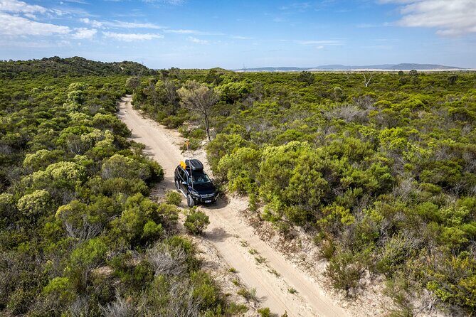 Port Lincoln Full-day Exploration Tour - Authentic Experiences and Honest Perspectives