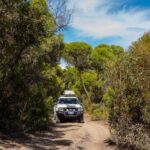 Port Lincoln: Wildlife and Sightseeing Full-Day 4WD Tour - Transportation & Duration