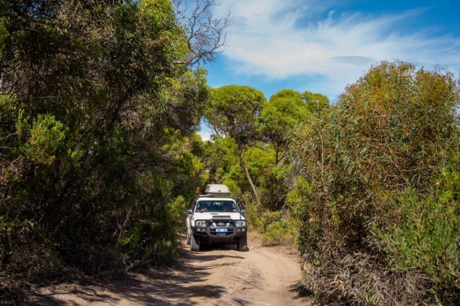 Port Lincoln: Wildlife and Sightseeing Full-Day 4WD Tour - Transportation & Duration