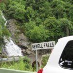 Port Macquarie Day Tour to Water Falls and Lookouts - Authentic Experiences and Review Highlights
