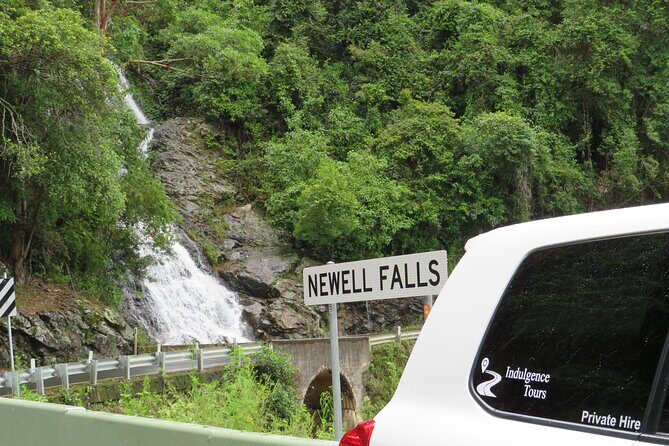 Port Macquarie Day Tour to Water Falls and Lookouts - Authentic Experiences and Review Highlights