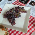 Port Macquarie Wine and Beer, Hastings Tasting Trail Tour - Why You Should Consider This Tour
