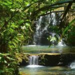 Port of Suva - Private Tour - The Real-World Experience: Pros and Cons