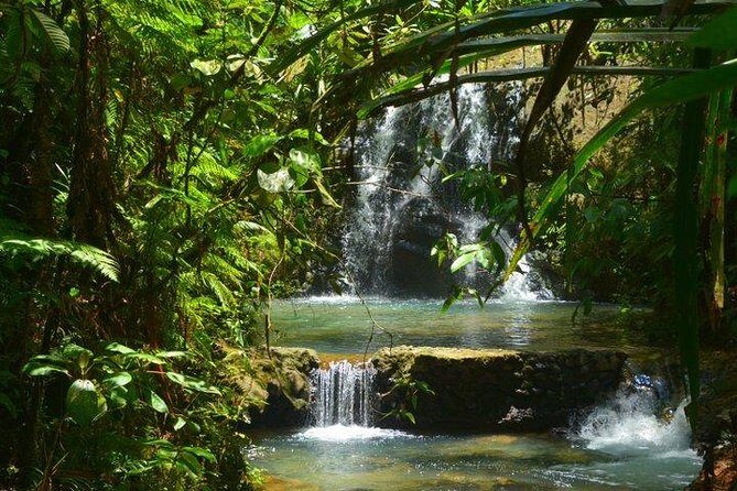 Port of Suva - Private Tour - The Real-World Experience: Pros and Cons