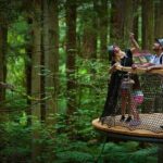 Port of Tauranga, Te Puia/Redwoods TreeWalk Glowworms/Hells Gate - Cost and Value: Is It Worth It?