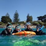 Port Phillip Bay Snorkeling with Sea Dragons - Why This Tour Stands Out